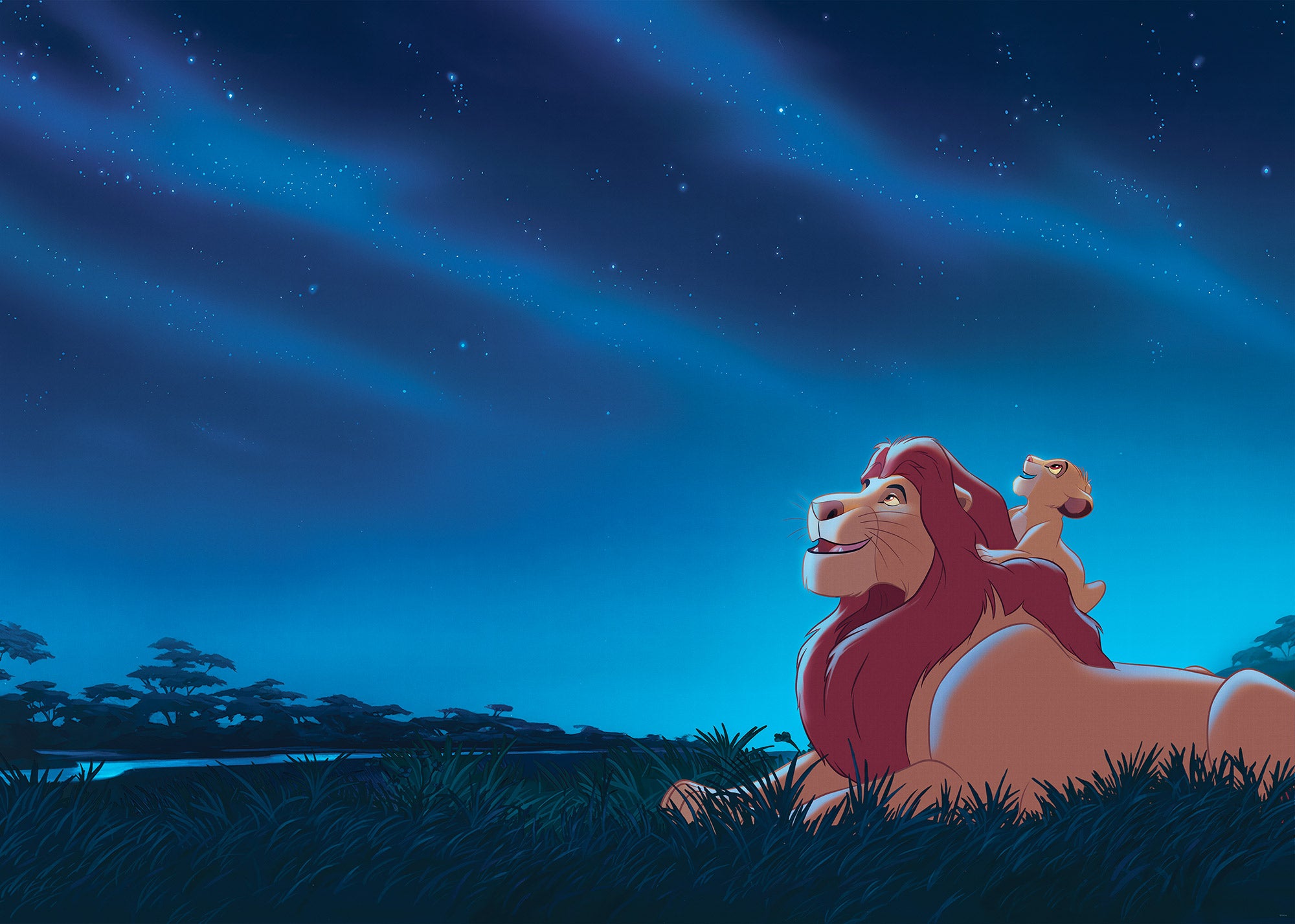 Papier peint panoramique Le Roi lion bleu - 350 x 250 cm - Komar ...