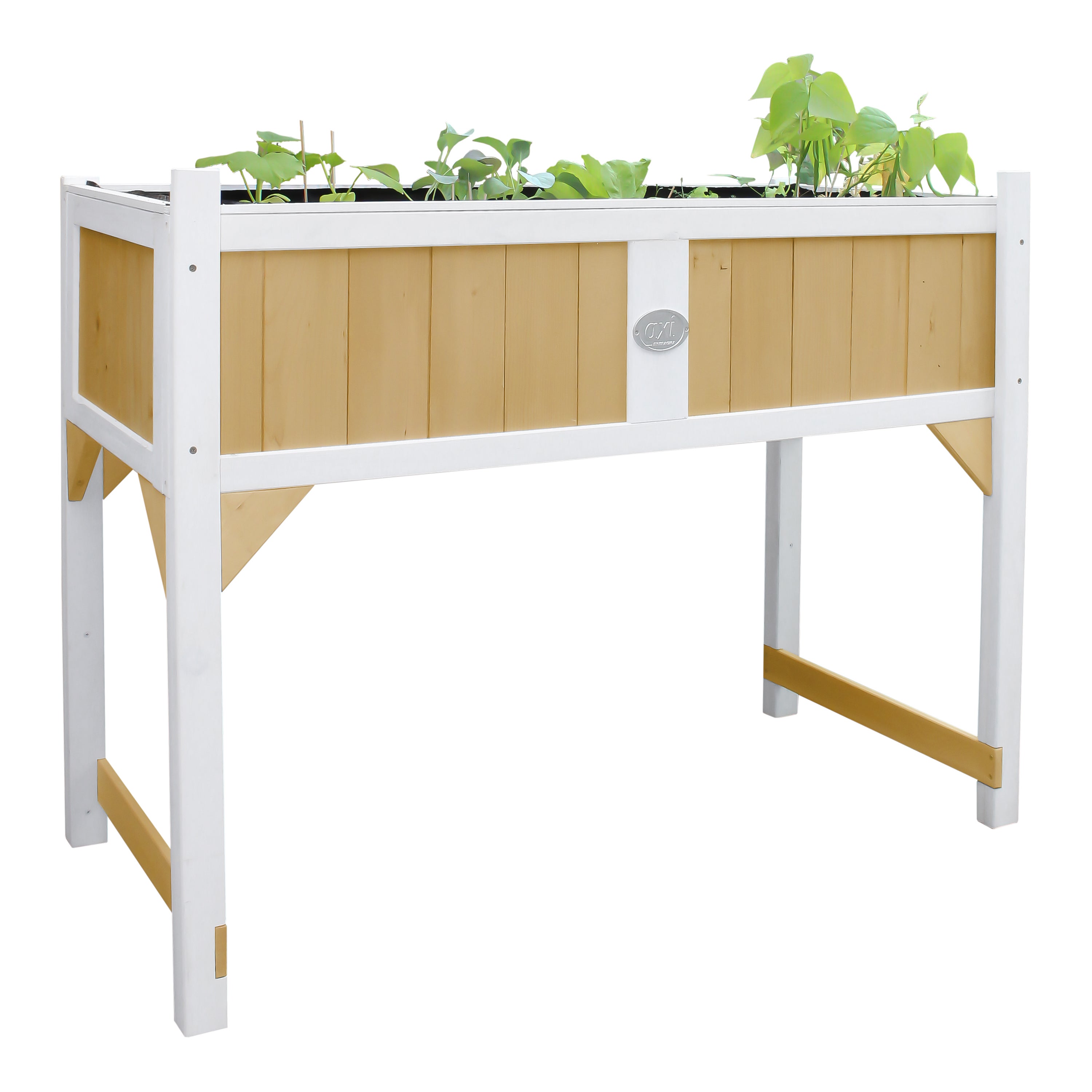 AXI Table de Culture en bois avec Bac & Voile de Jardin | Potager sur ...