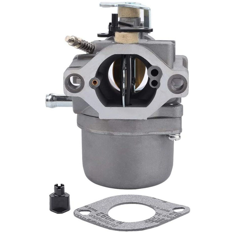 Carburateur Briggs & Stratton 285707 289707 28B705 28M707 pour moteur ...