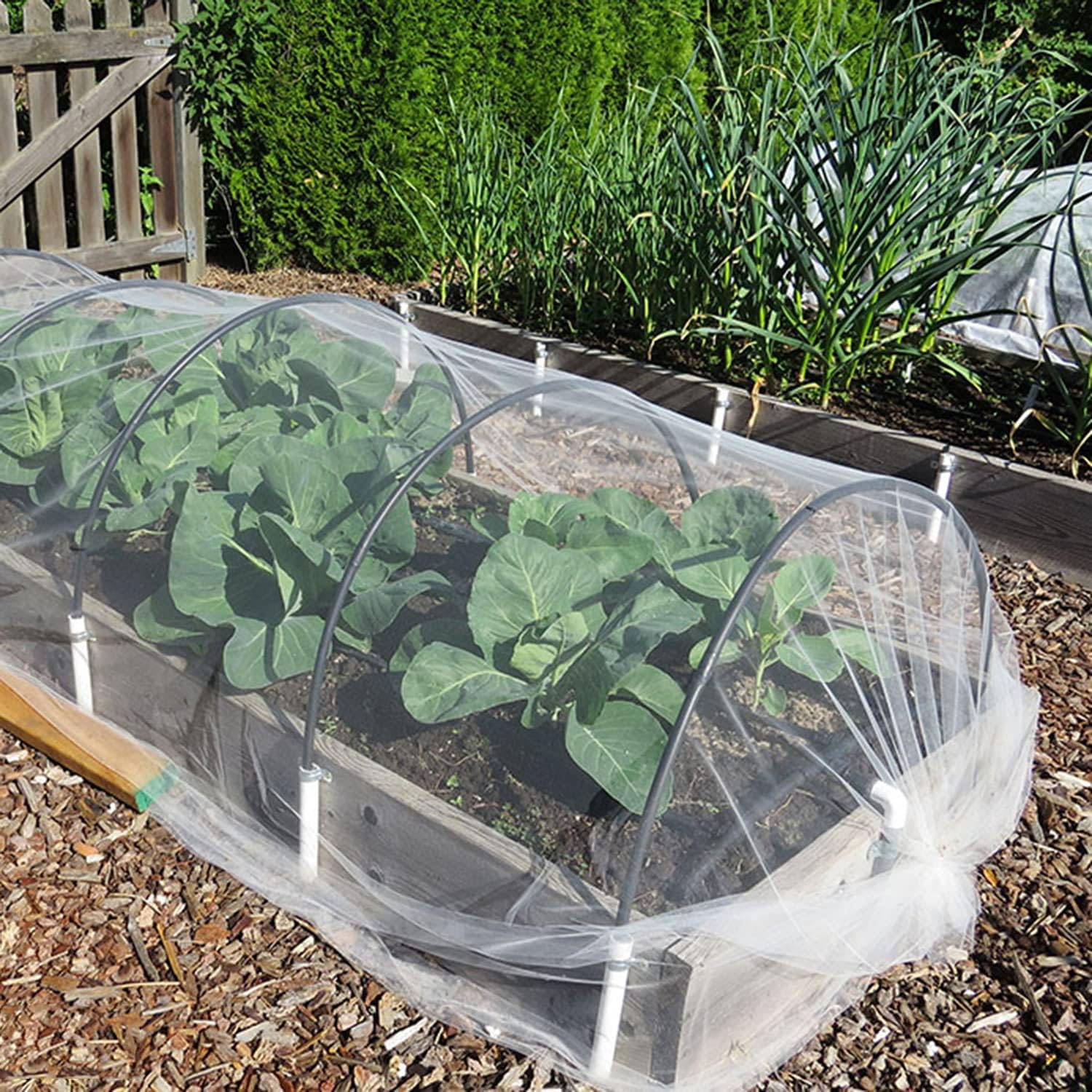 Filet de Jardin Ultra Fin 2.5x10 m - Protection pour Légumes, Fruits ...