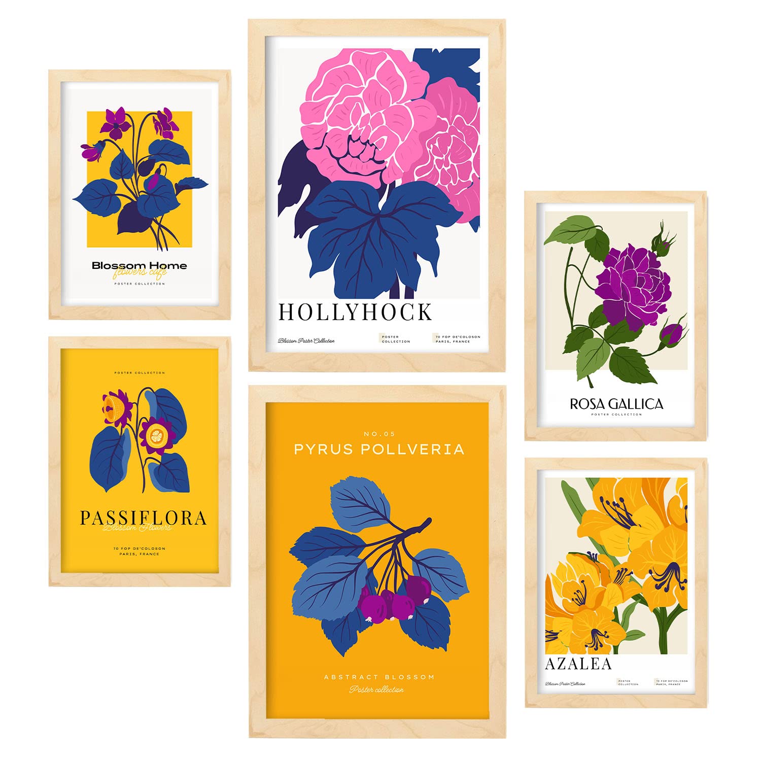 Nacnic Set De 6 Posters Florales Invernadero Láminas De Naturaleza Y ...
