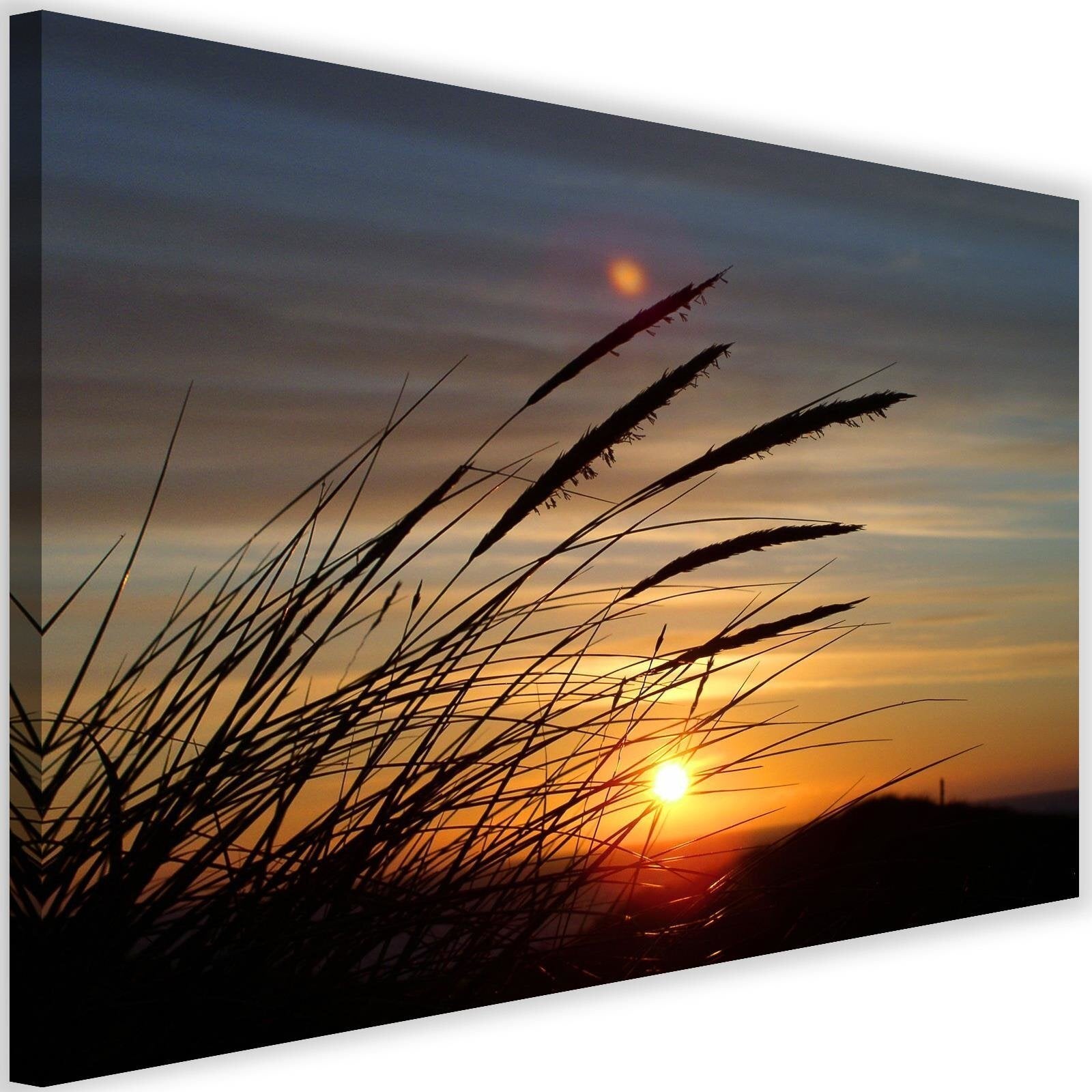 Tableau herbe et coucher de soleil - 120 x 80 cm | Leroy Merlin