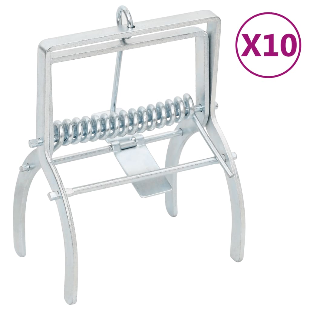Pièges à taupes 10 pcs Argenté Acier galvanisé vidaXL | Leroy Merlin