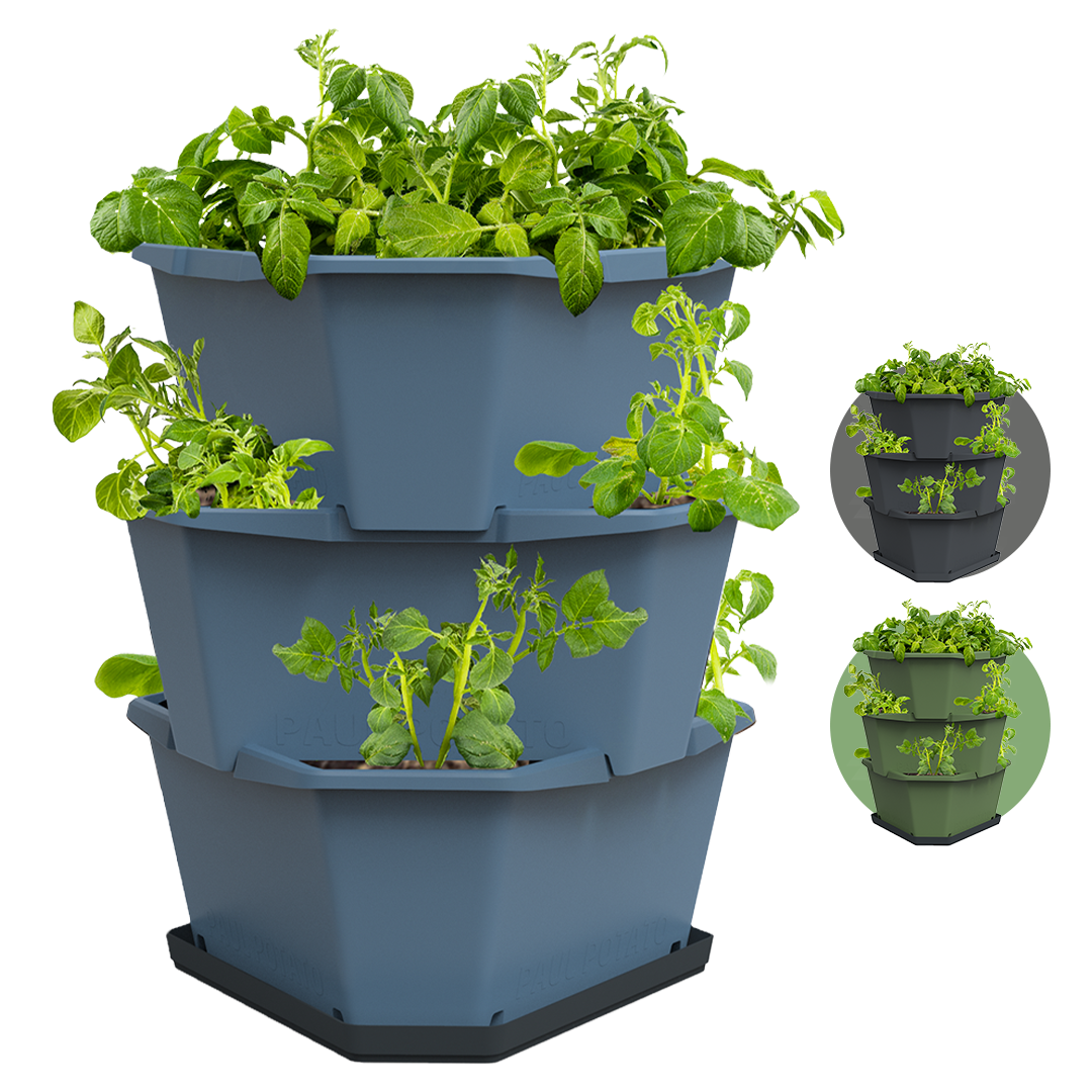 Gusta Garden - Paul Potato - Tour de pommes de terre empilable - 3 ...