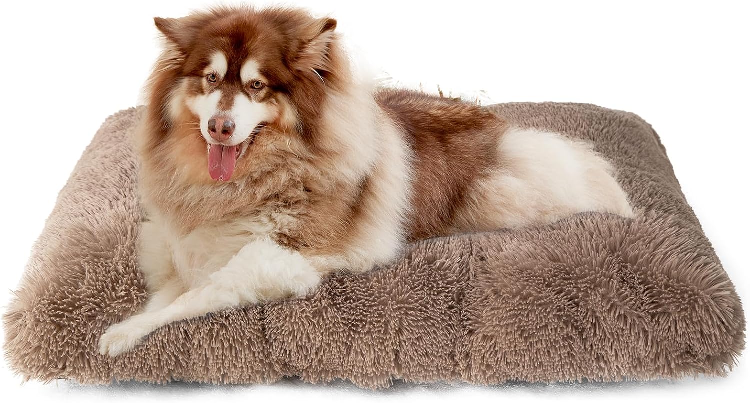 Coussin carré en kaki pour chien et chat, 50 x 40 x 5 cm, doux et moelleux, idéal pour un ...