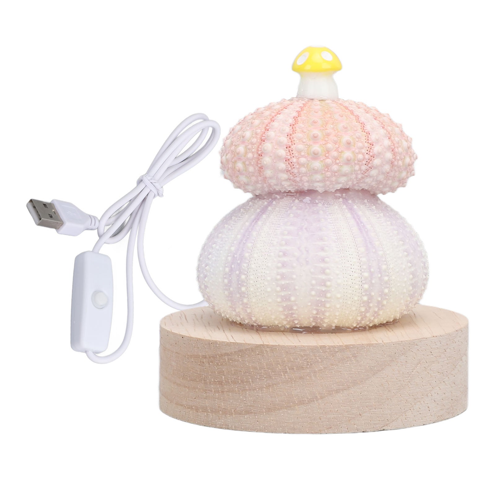 Veilleuse LED blanc chaud, prise USB, corps en coquillage naturel ...