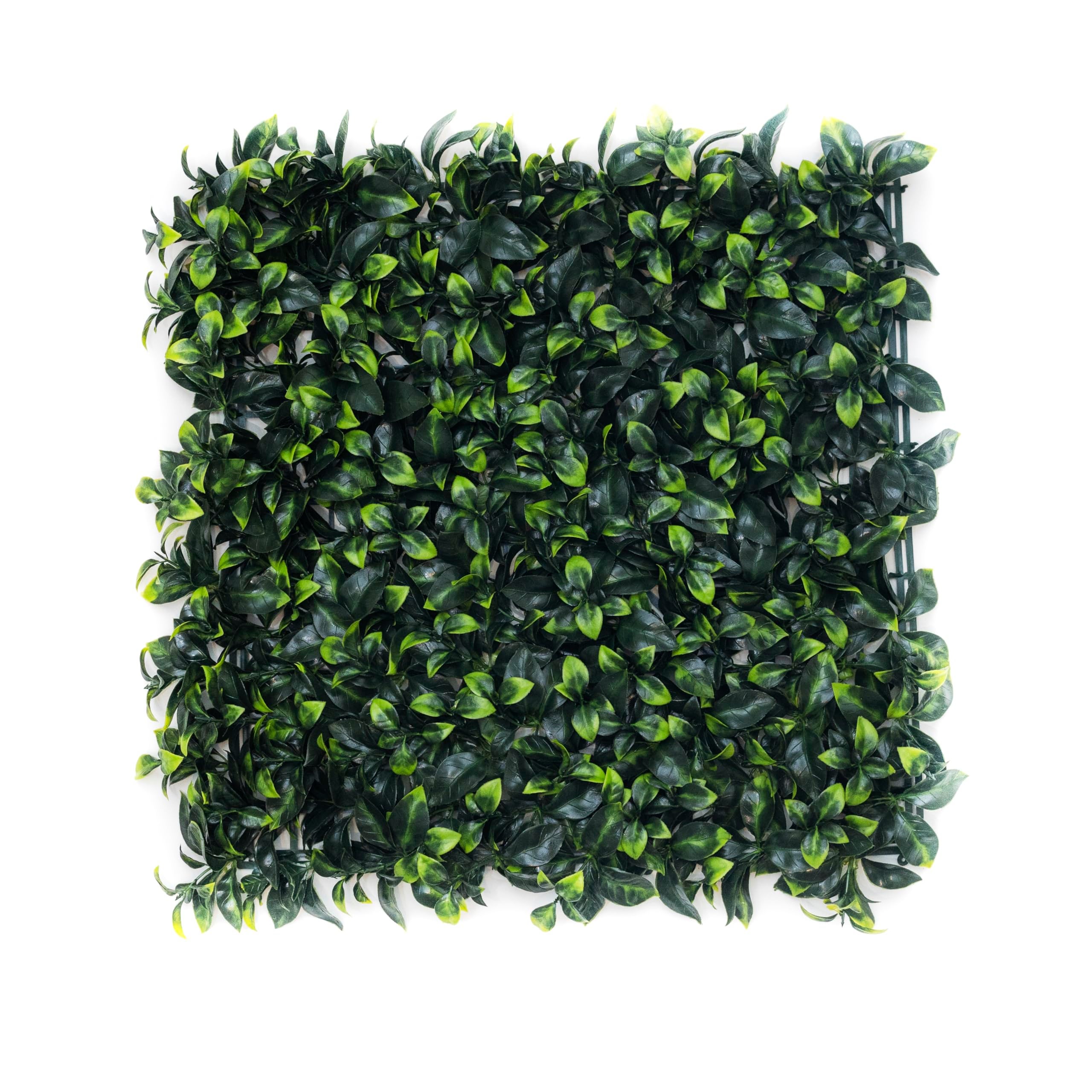 Jardín Vertical Artificial Exterior o Interior - Panel de 50x50cm ...