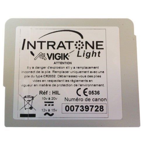 Centrale VIGIK résident INTRATONE LIGHT - INTRATONE Gris | Leroy Merlin