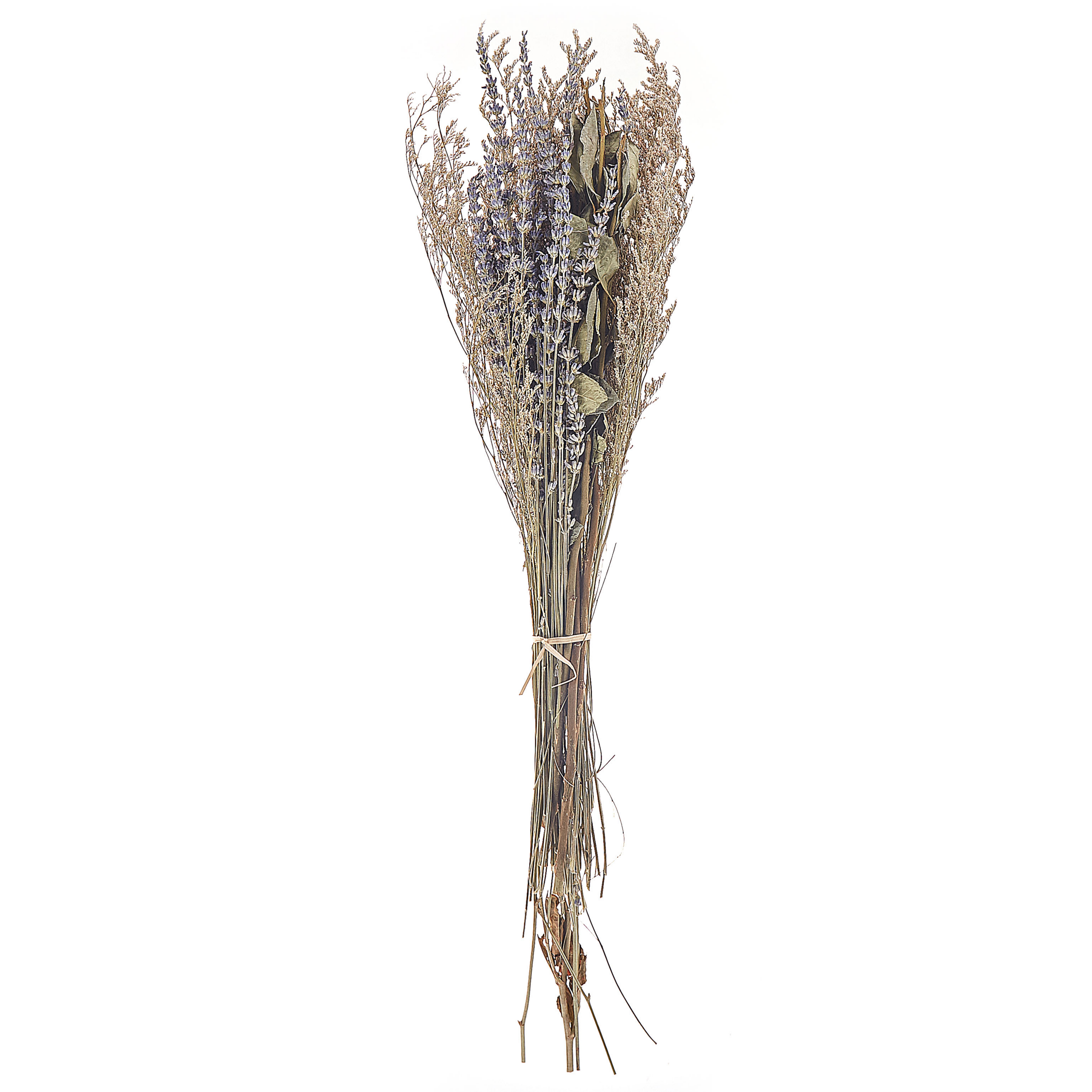 Beliani Ramo de flores secas NAWARRA 70 cm Natural | Leroy Merlin