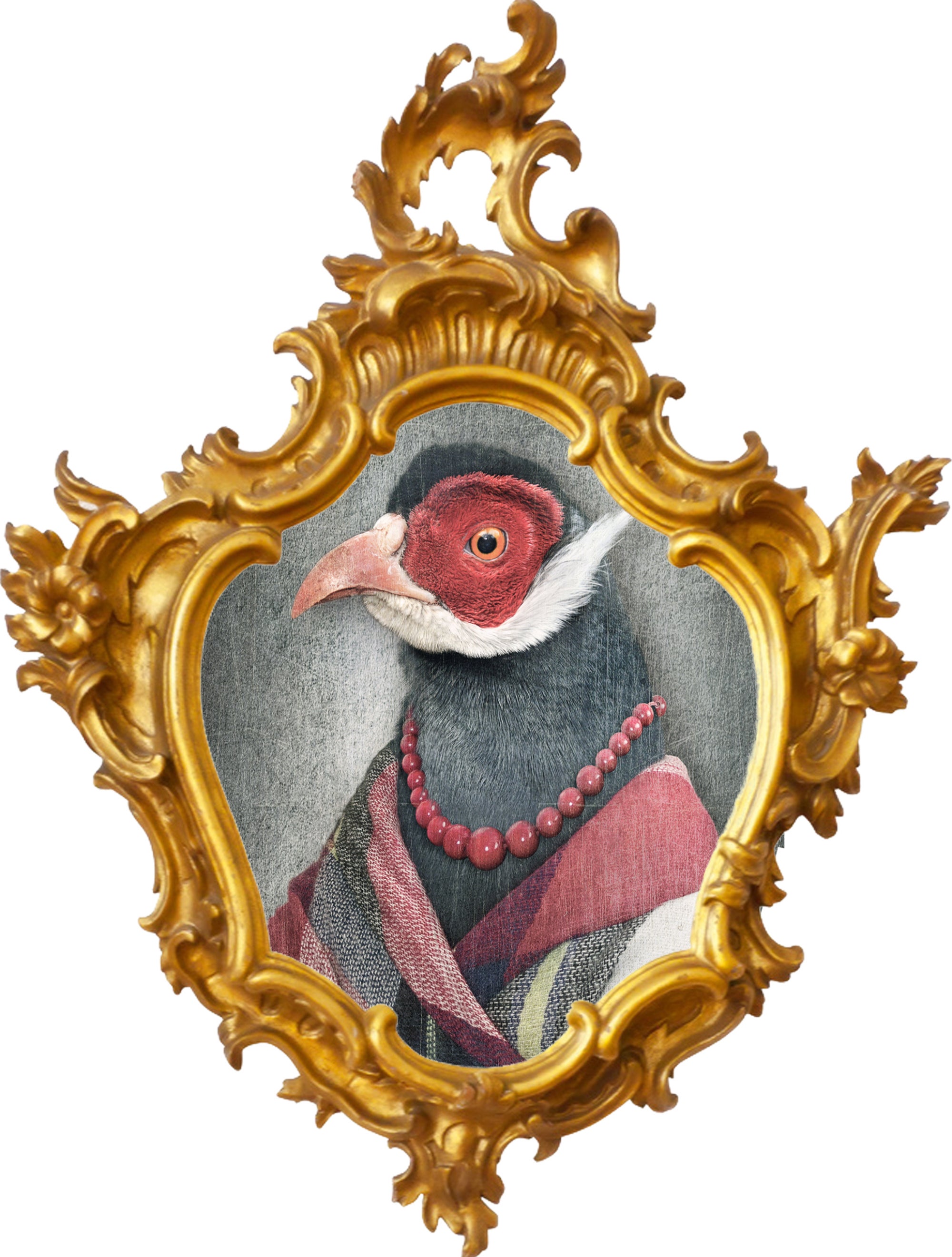 Sticker adhesivo Pavo con marco 49x65 | Leroy Merlin