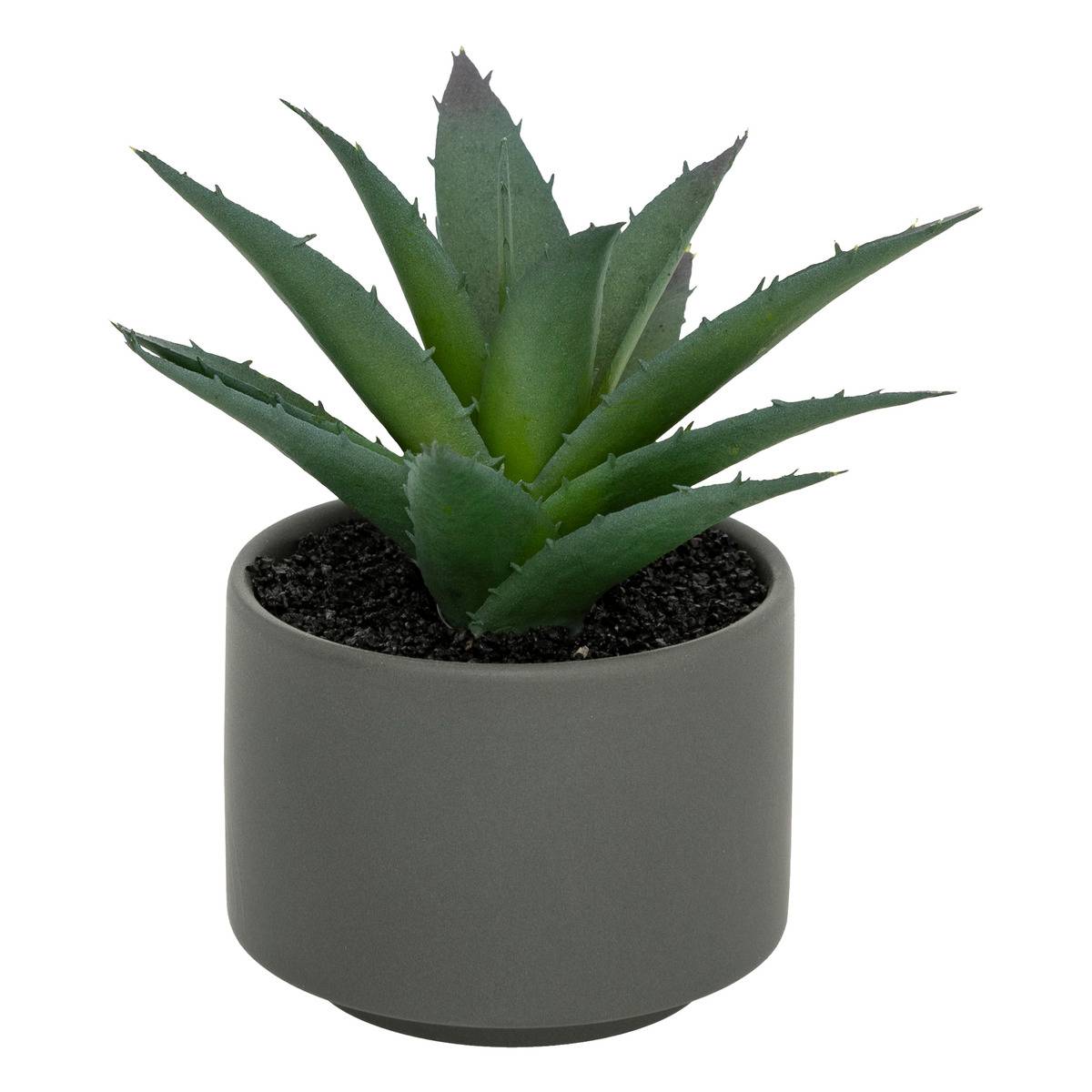 Plante Grasse En Pot H13 Gris - Atmosphera Créateur d'intérieur | Leroy ...
