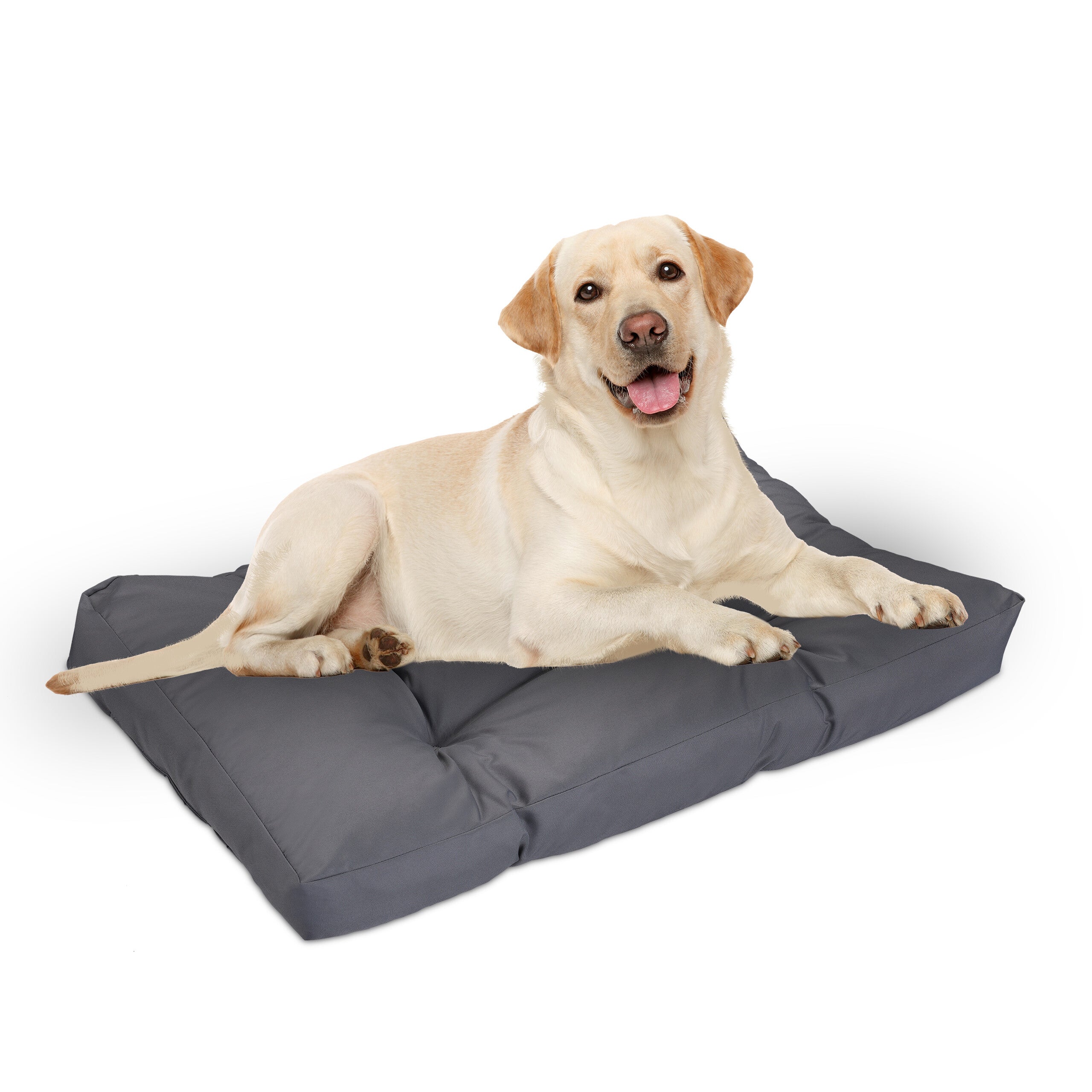 Relaxdays Cama para Perros Medianos, Impermeable, Colchón Mascota ...