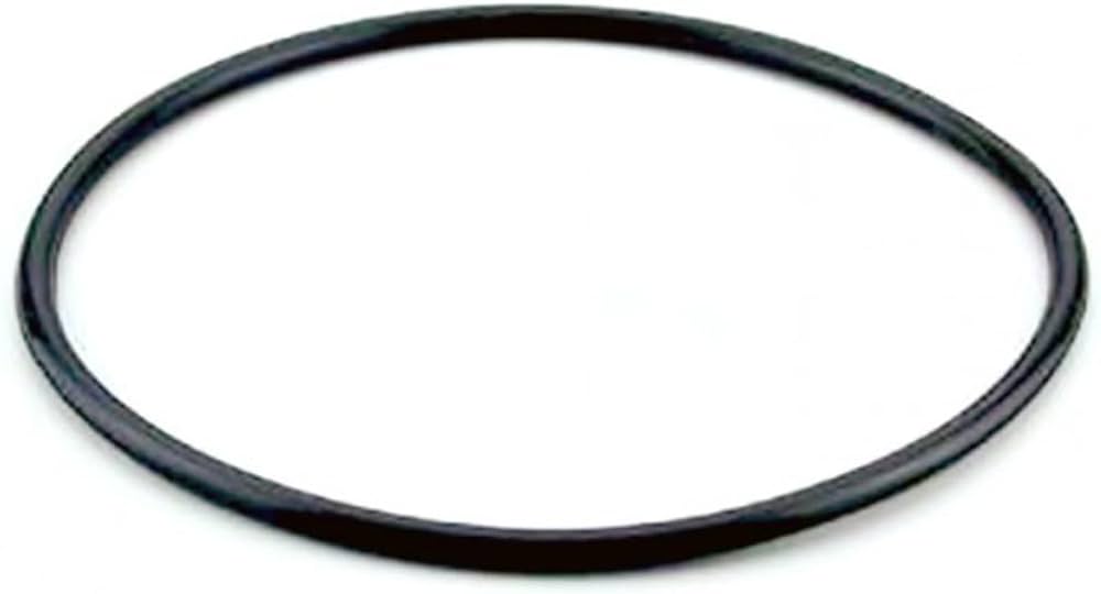 AstralPool OPTICAL SEAL 255X4 marque | Leroy Merlin