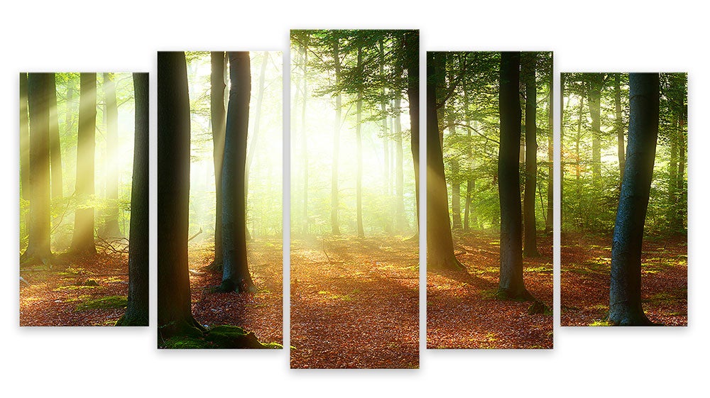 Tableau 5 parties paysage raie de lumière en forêt - 150x80 cm | Leroy ...