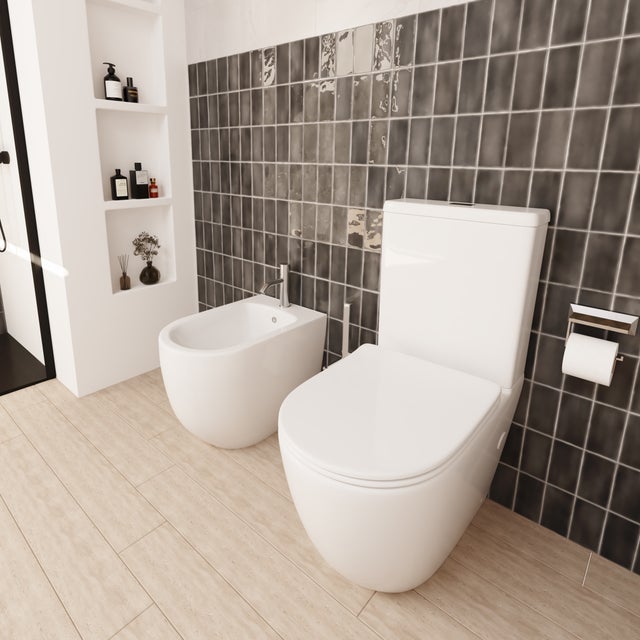 Inodoros con bidet: compra online | Leroy Merlin