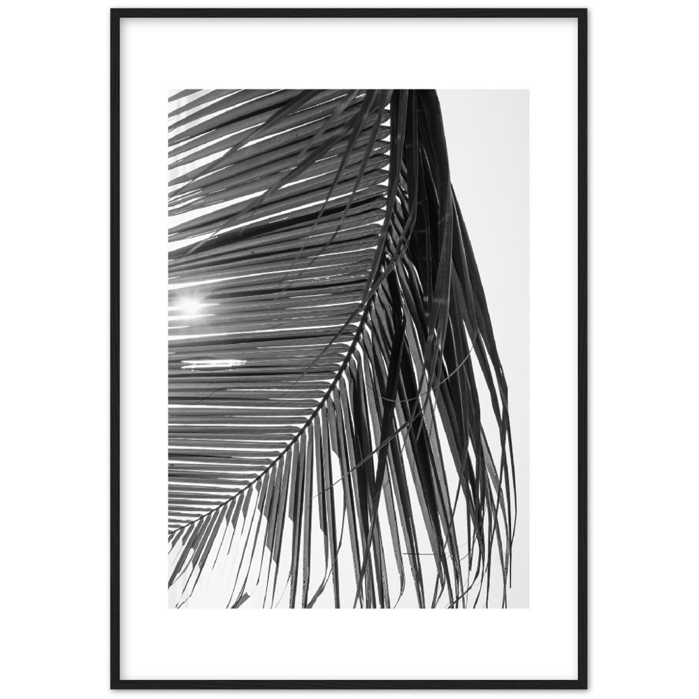 Lámina decorativa para enmarcar SUN PALMERA 70x100 cm | Leroy Merlin