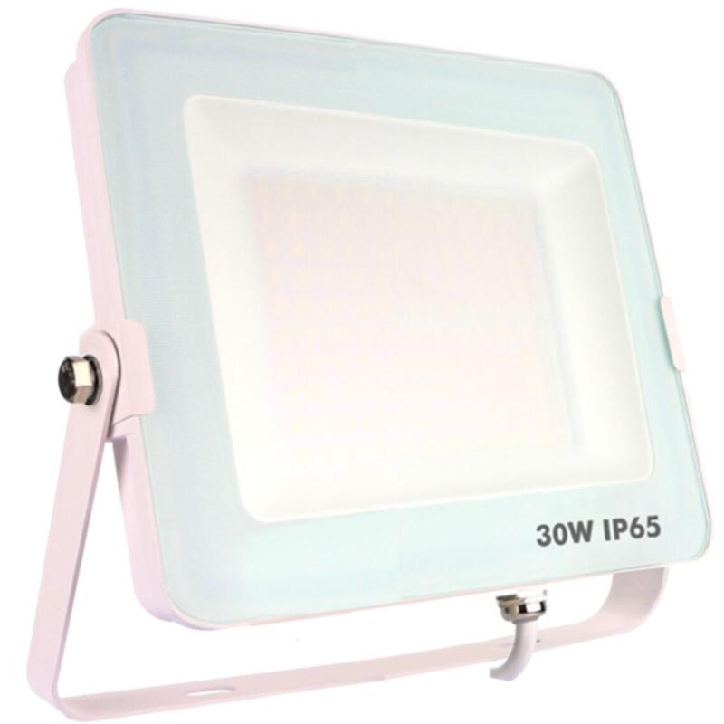 FORGE+ Silver Electronics IP65 30W 5,700K White LED floodlight | Leroy ...