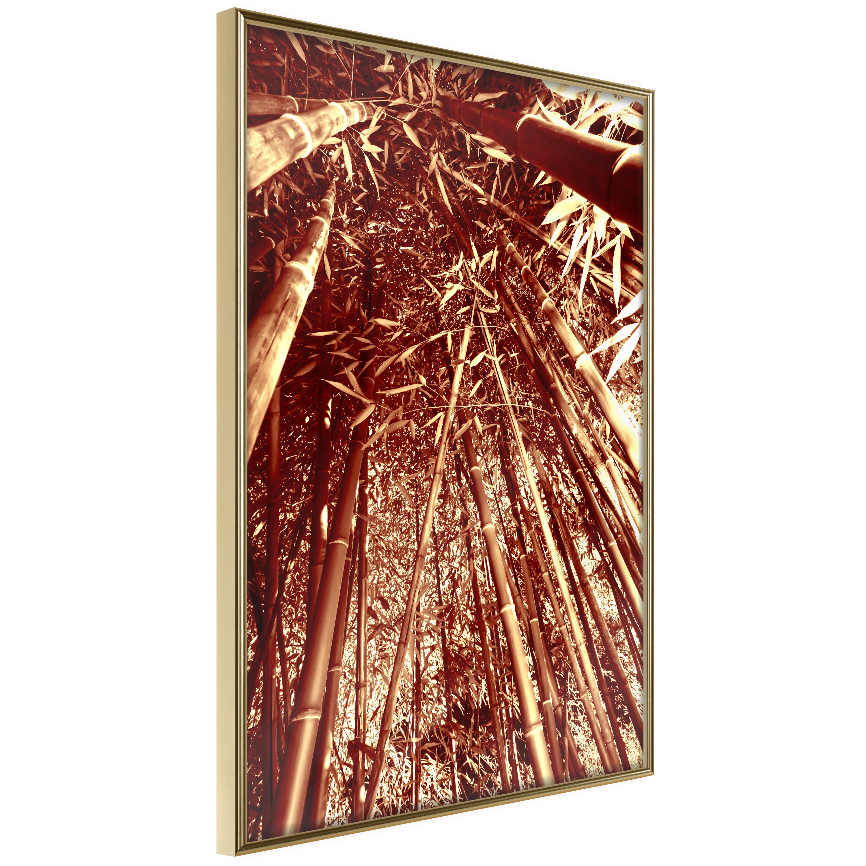 Poster et affiche - Asian Forest 40x60 cm | Leroy Merlin