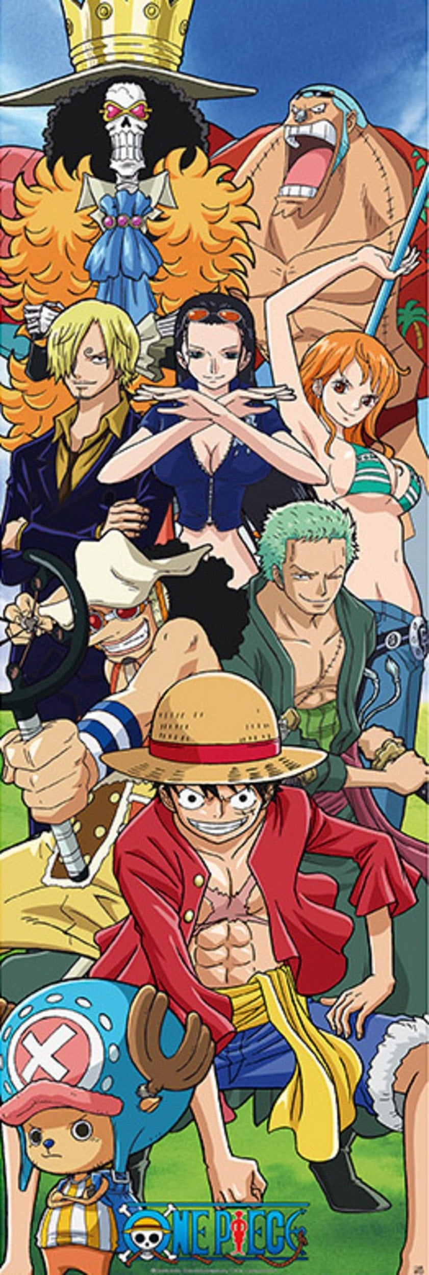 Poster One Piece - Crew 53x158cm | Leroy Merlin