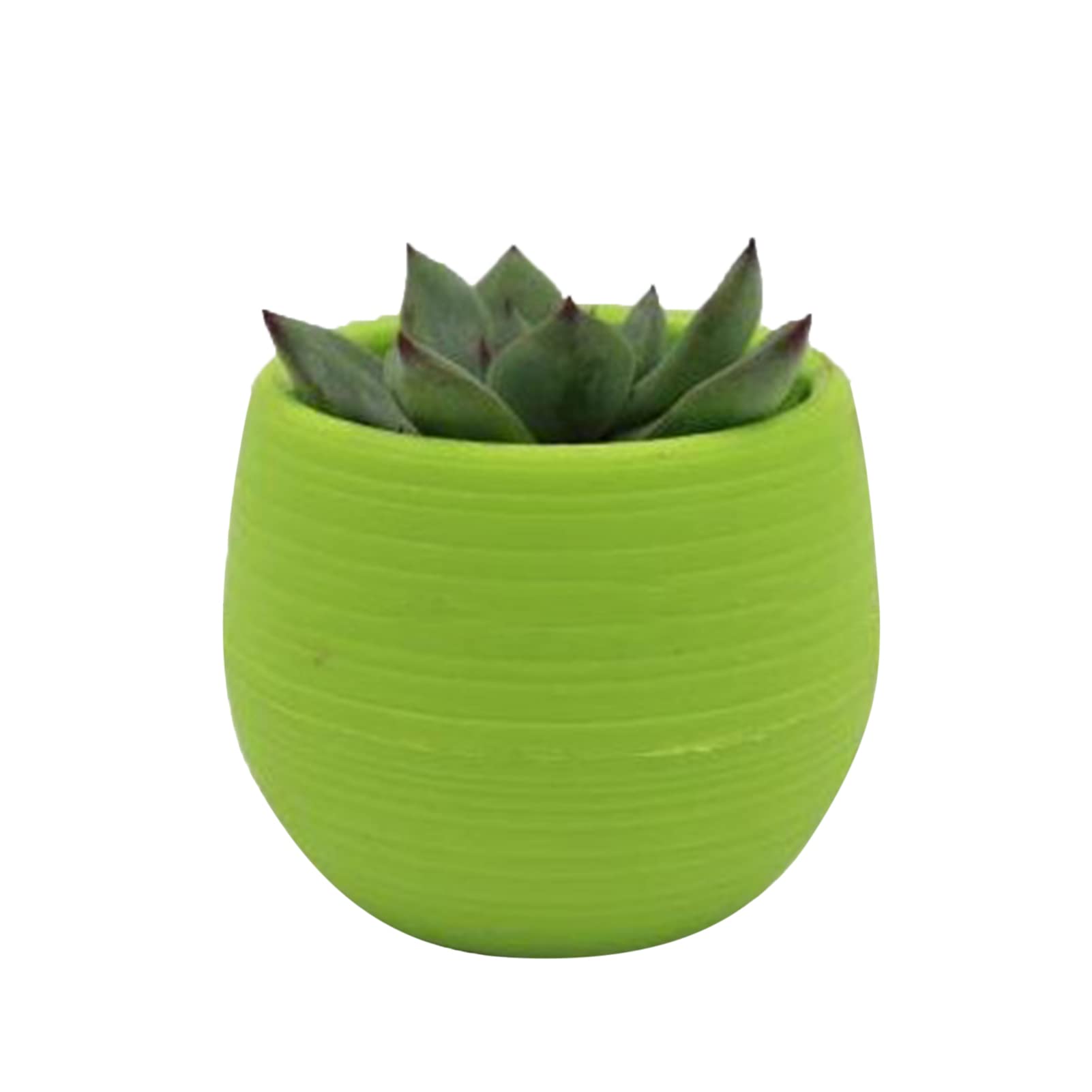 Mini pot pour plantes succulentes - Pots pour plantes succulentes de 7 ...