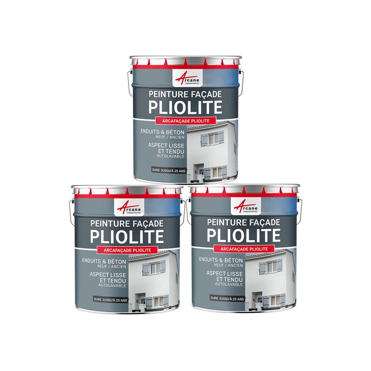 Pittura Pliolite - ARCAFAÇADE PLIOPROTECT - Pietra - RAL 090 90 10 ...