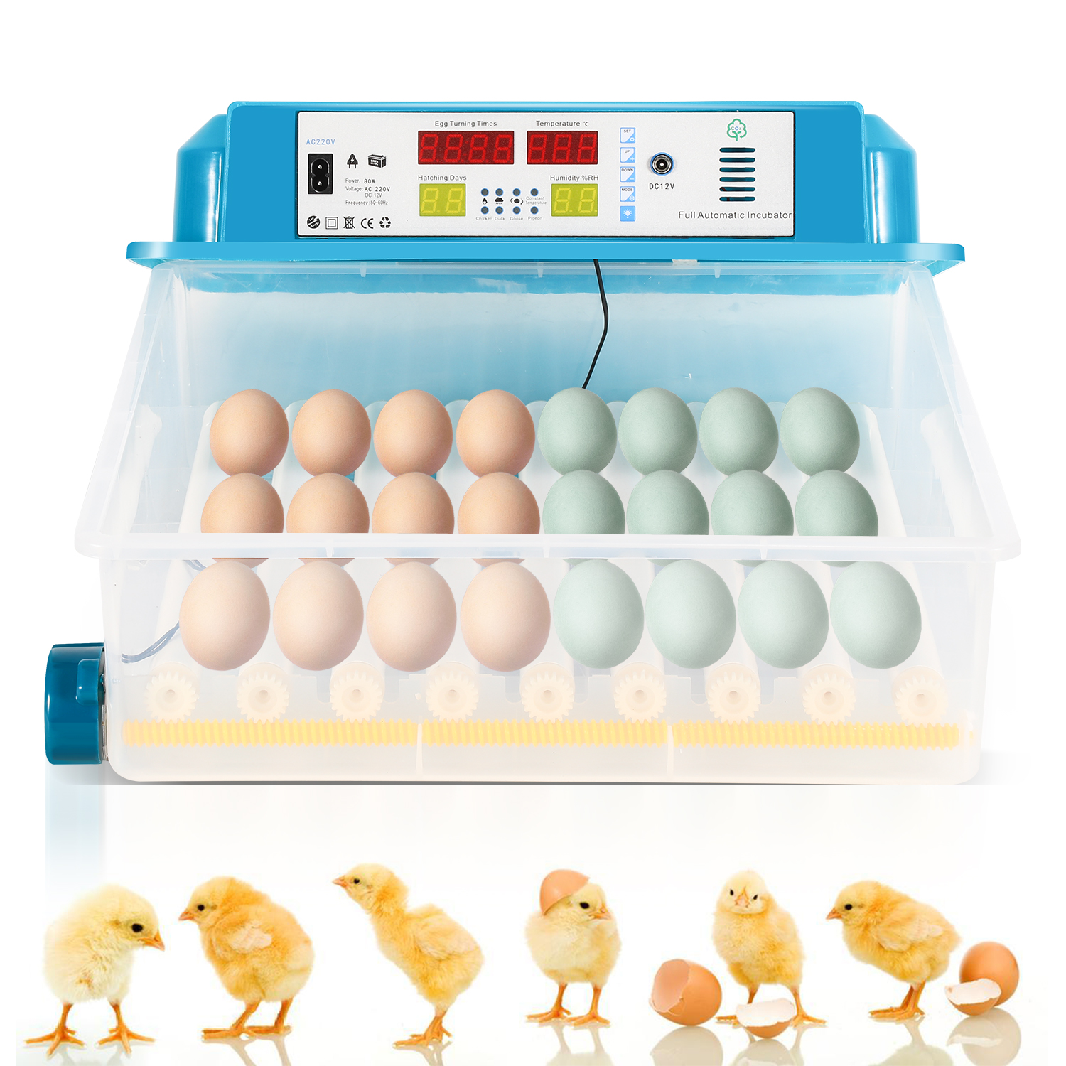 Couveuse Oeuf Automatique - Vert - Couveuse d'Œuf Incubateur pour ...