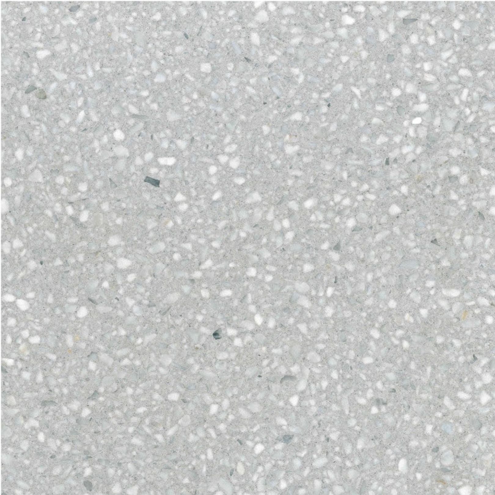 Carreau Terrazzo fond gris inclusions blanc GRISCAL | Leroy Merlin