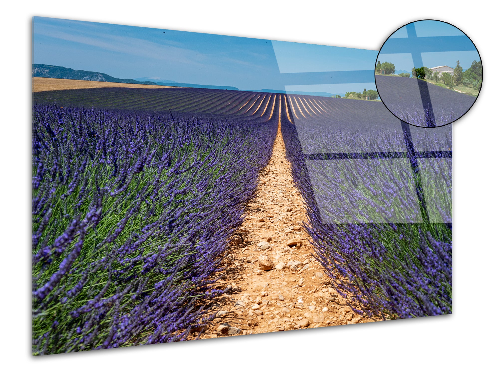 Tableau plexiglas déco Le Plateau de Valensole | Leroy Merlin
