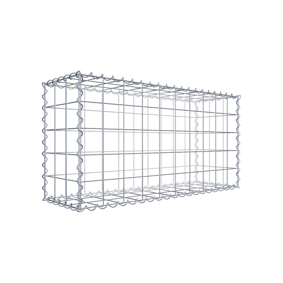 Gabion 100 cm x 50 cm x 30 cm (L x H x P), mailles 10 x 10 cm, Spirale - Made in Germany | Leroy ...