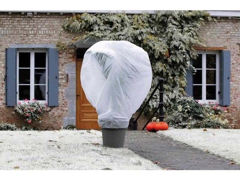 Velo de Invierno Nortene Wintertex Blanco 30Gr/M2, 2X5M | Leroy Merlin
