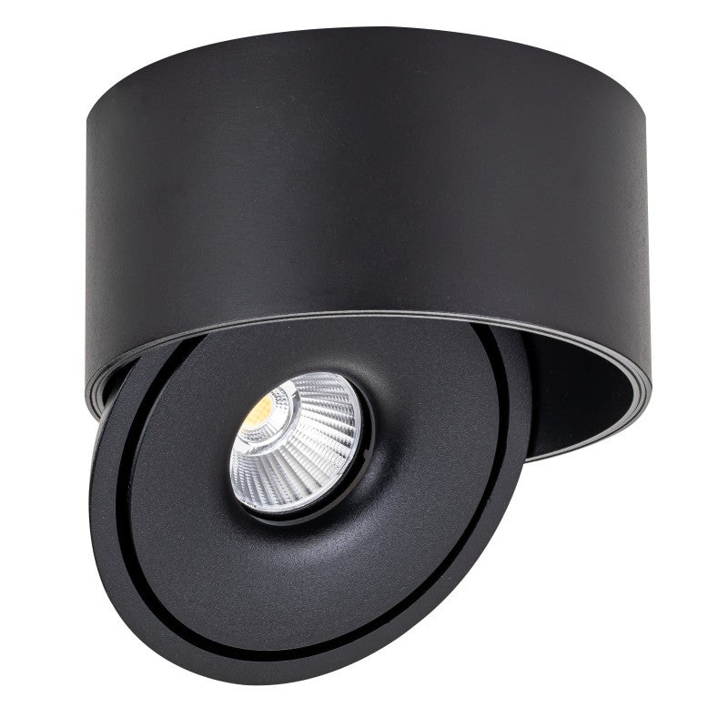 Spot LED COB 30W rond rotatif - Noir - CCT - Bridgelux - 3000 lm ...
