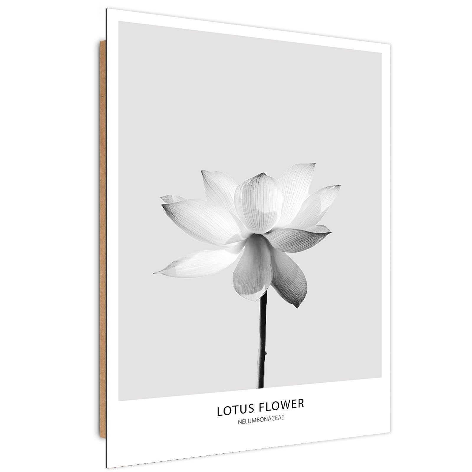Tableau fleur de lotus blanc bois - 60 x 90 cm | Leroy Merlin