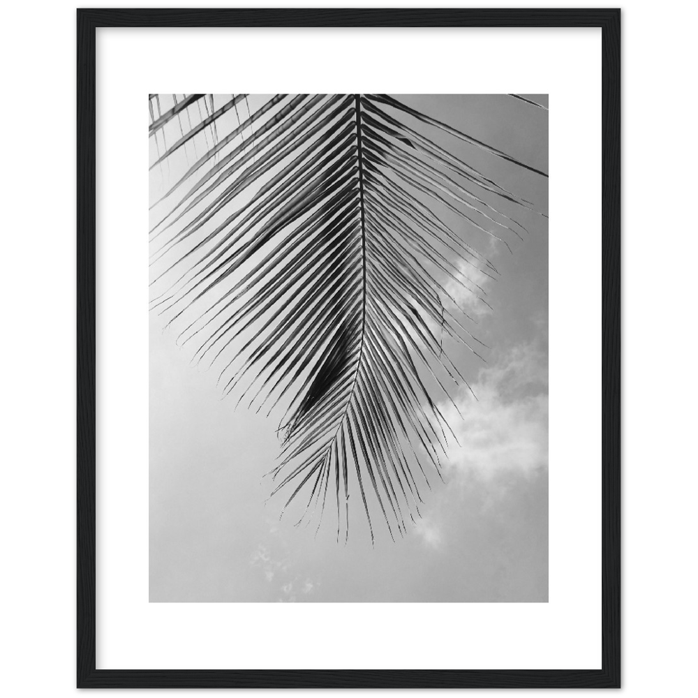 Lámina decorativa para enmarcar PALM CLOUD 70x100 cm | Leroy Merlin