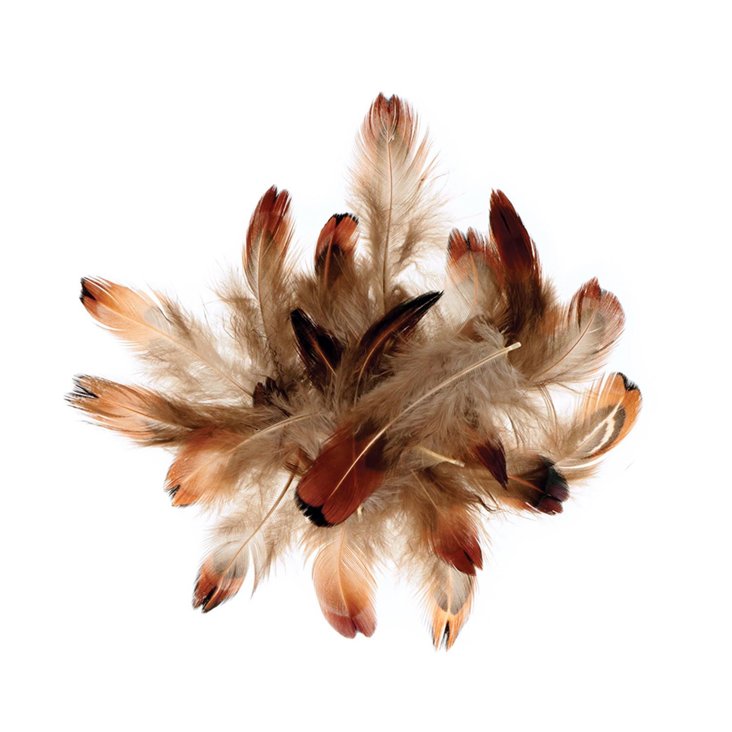 Plumas de Faisán 35 cm 3g | Leroy Merlin