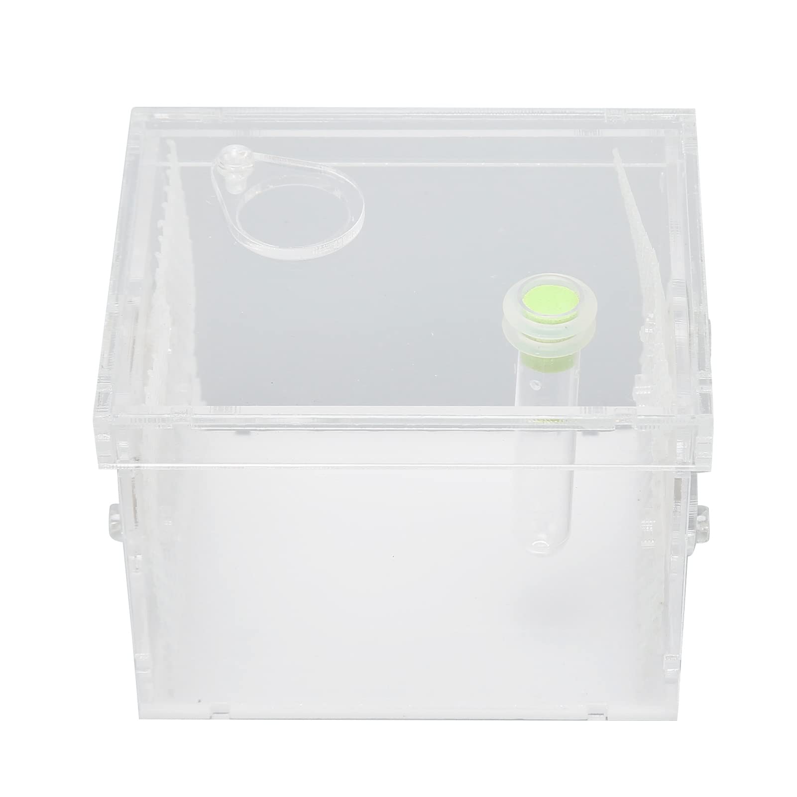 Recinto per rettili Mini acrilico ad alta trasparenza idratante scatola ...