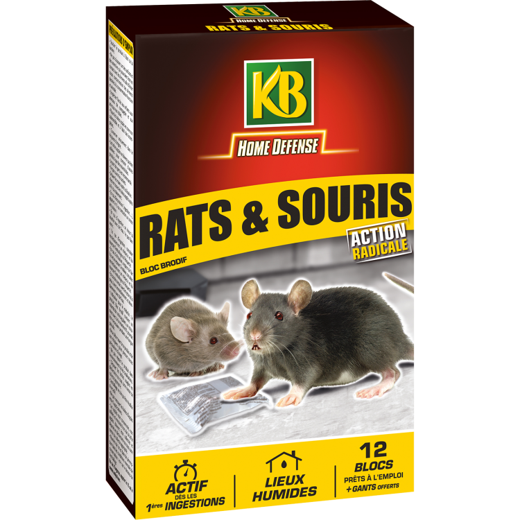 KB rat souris blocs 200g | Leroy Merlin