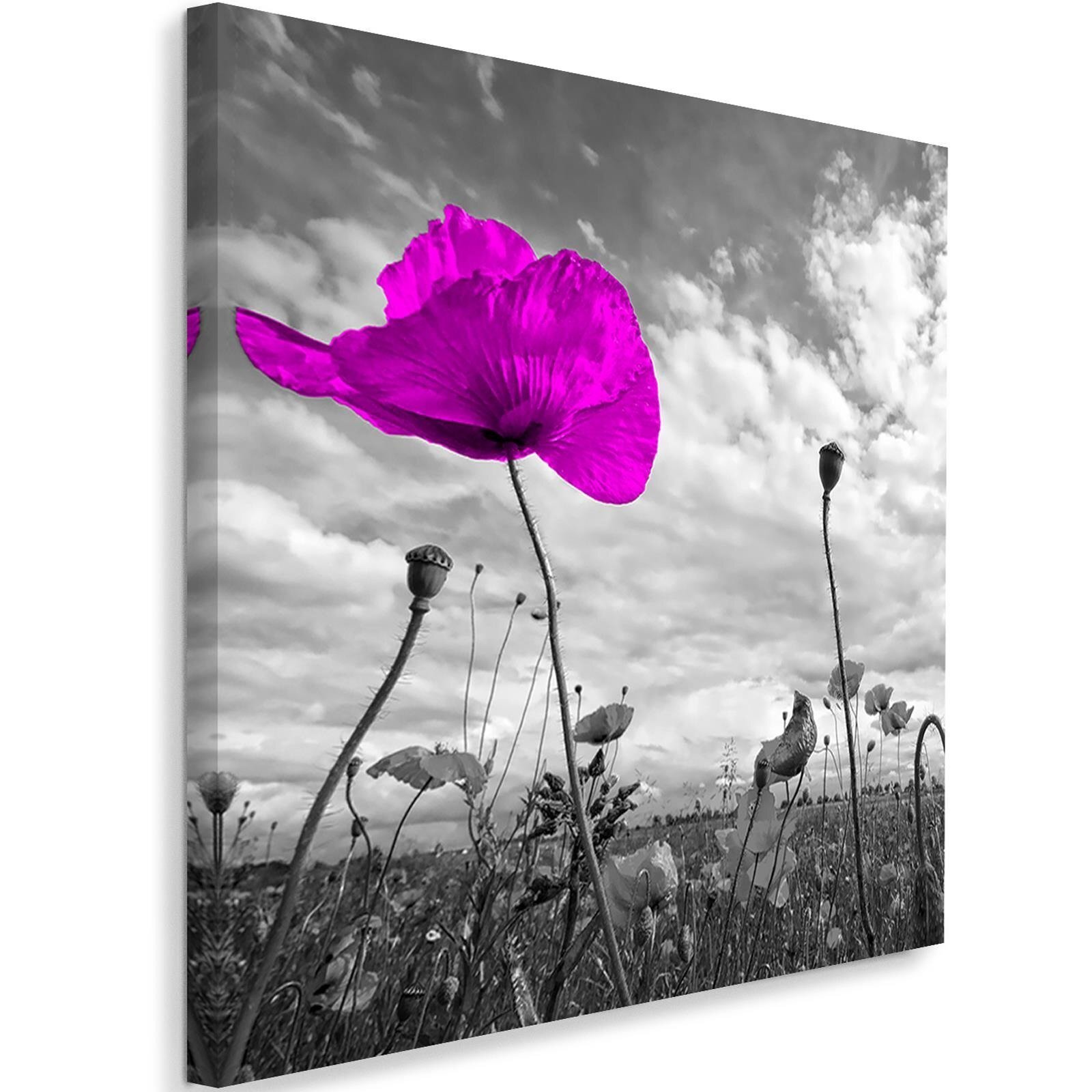 Tableau coquelicot violet - 90 x 90 cm | Leroy Merlin