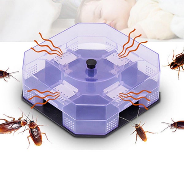 Boîte Anti-reptile Physique avec 4 Portes - Piège à Insectes Sans ...