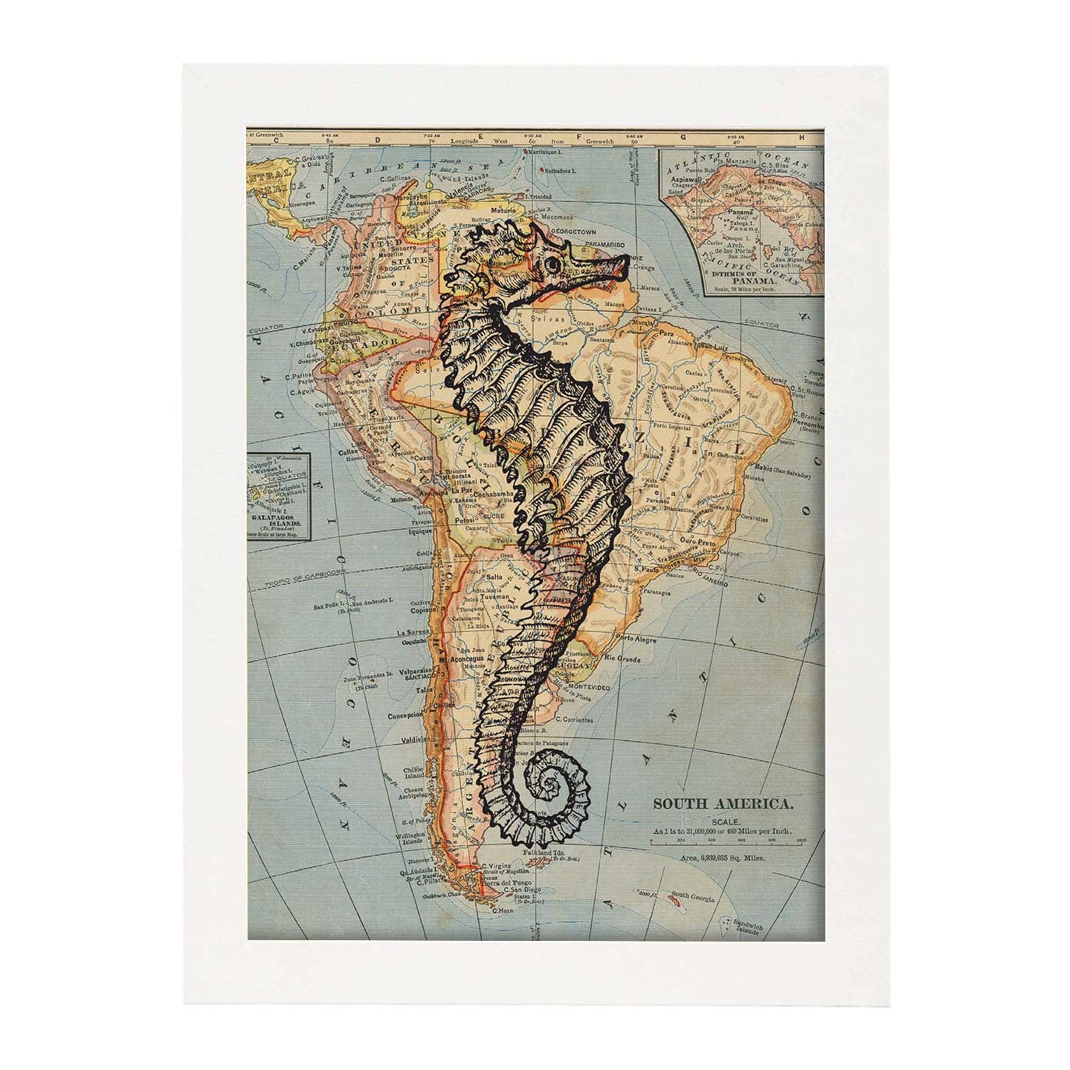 Posters De Objetos Sobre Mapas. Lamina Caballito De Mar Blanco Y Negro ...