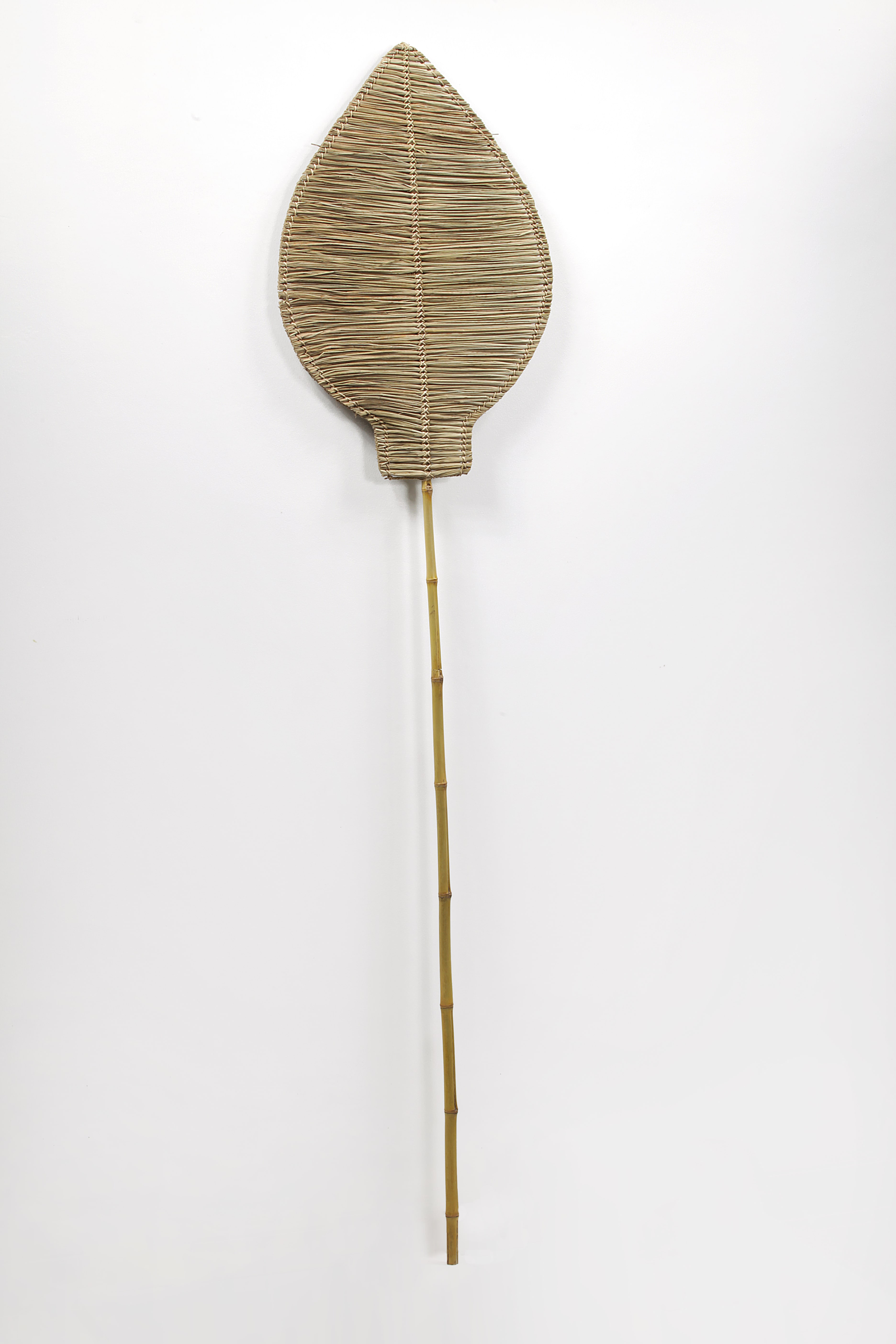 Branche sèche Naturelle en rotin et en bambou avec grande tige ...