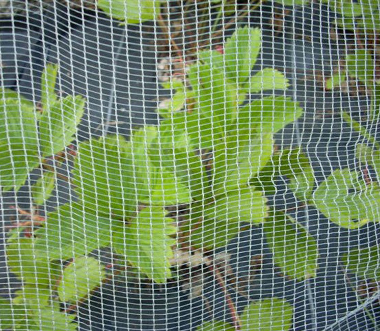 Filet anti-grêle 12x12m - 56g - avec connecteurs pont | Leroy Merlin