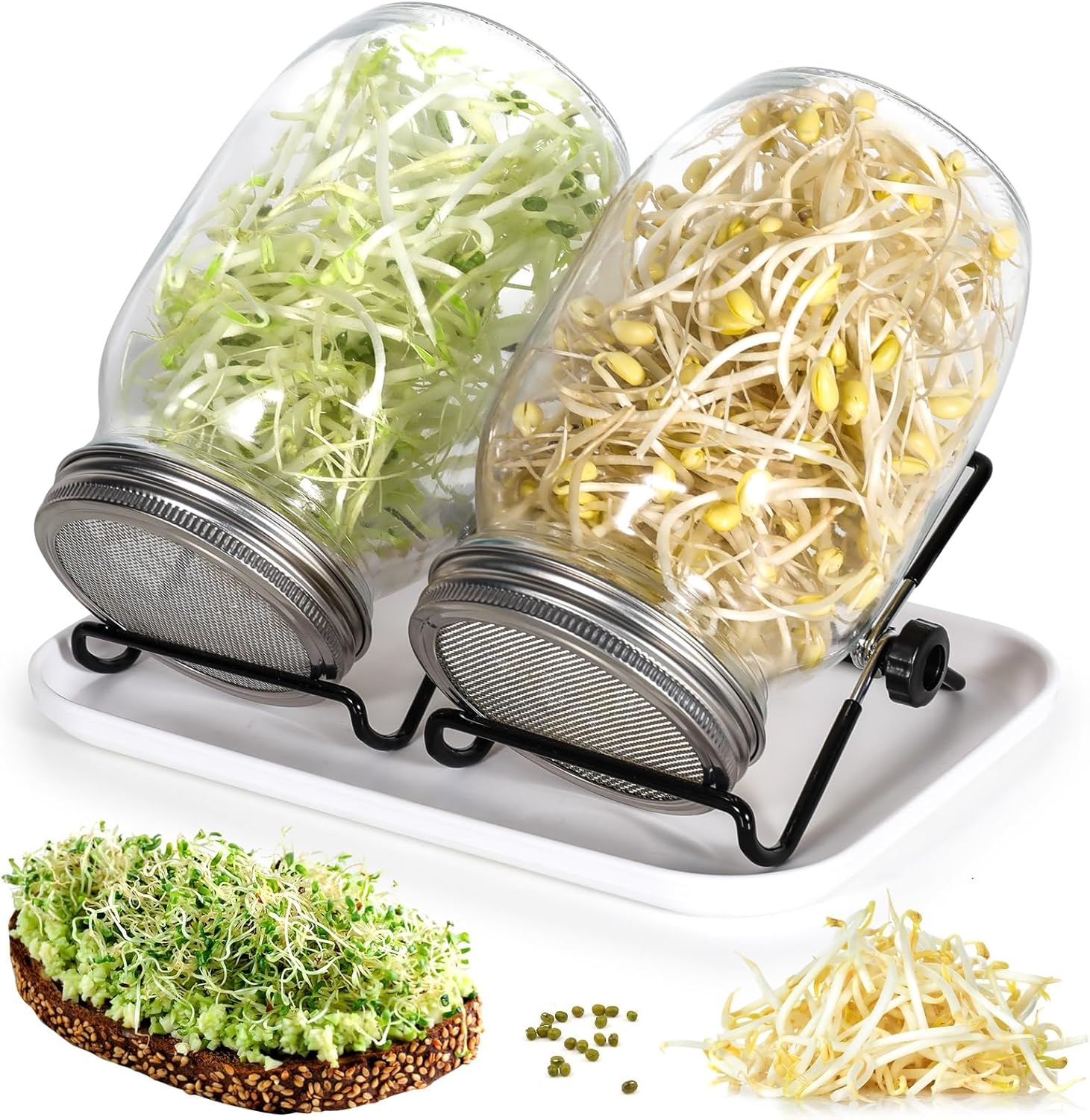 Bocal de Germination, 2 x 1000ml Germoir en Verre Bocal à Germes avec 2 ...
