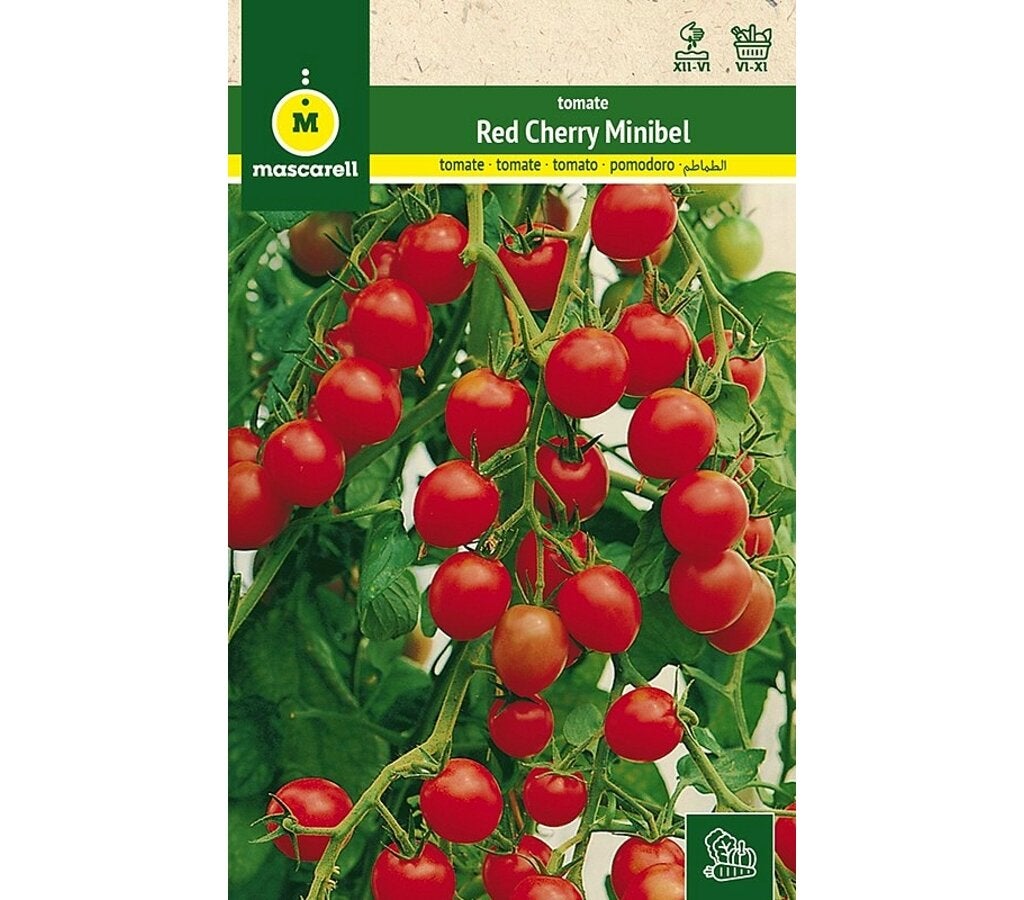 SEMILLAS TOMATE RED CHERRY (MINBEL) | Leroy Merlin