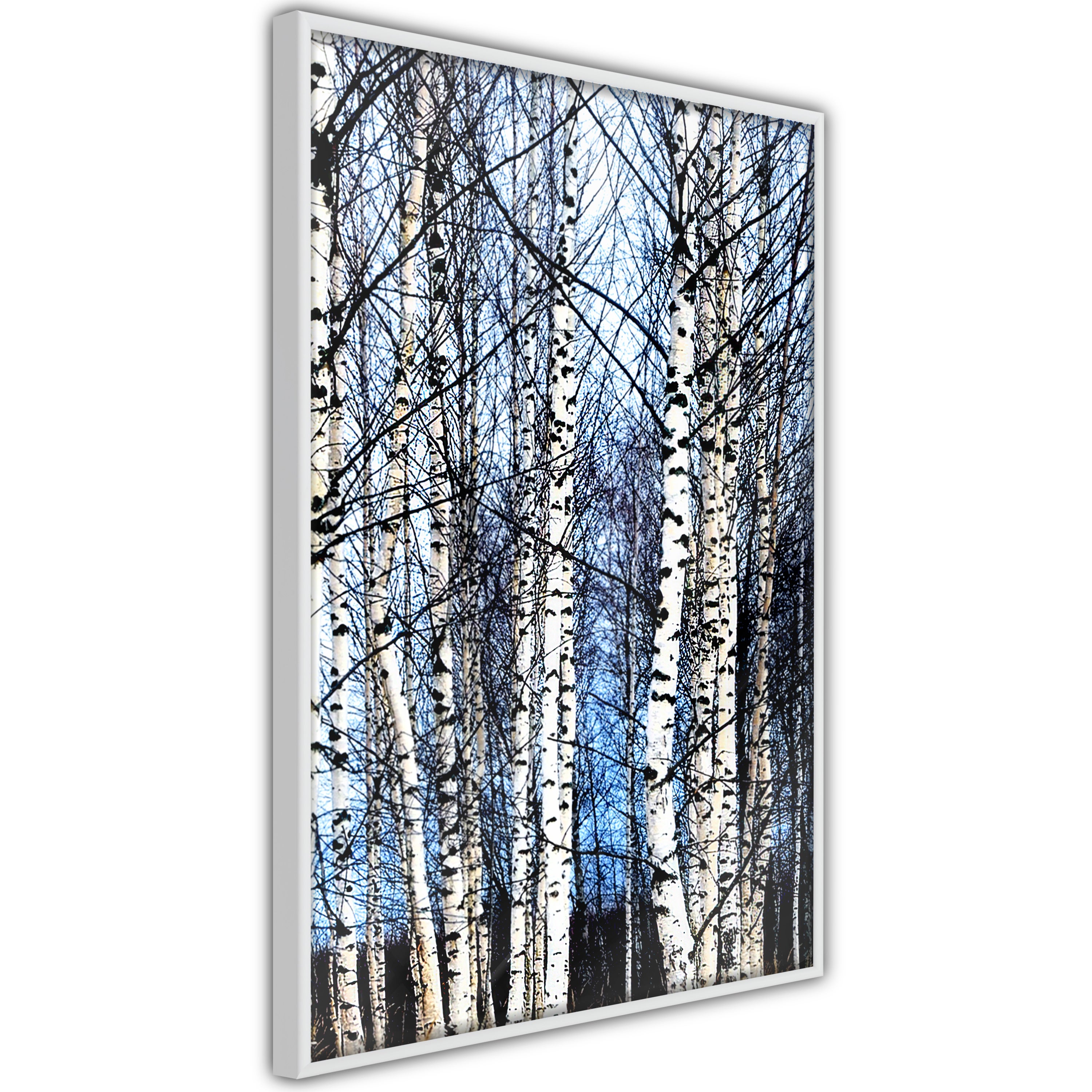 Poster et affiche - Winter Birch Trees - 20x30 | Leroy Merlin