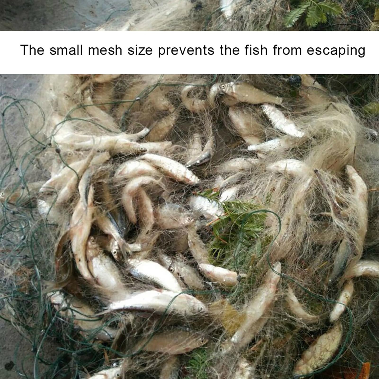 Filets de pêche, filet de pêche portable, longueur 50 m, hauteur 1,5 m ...