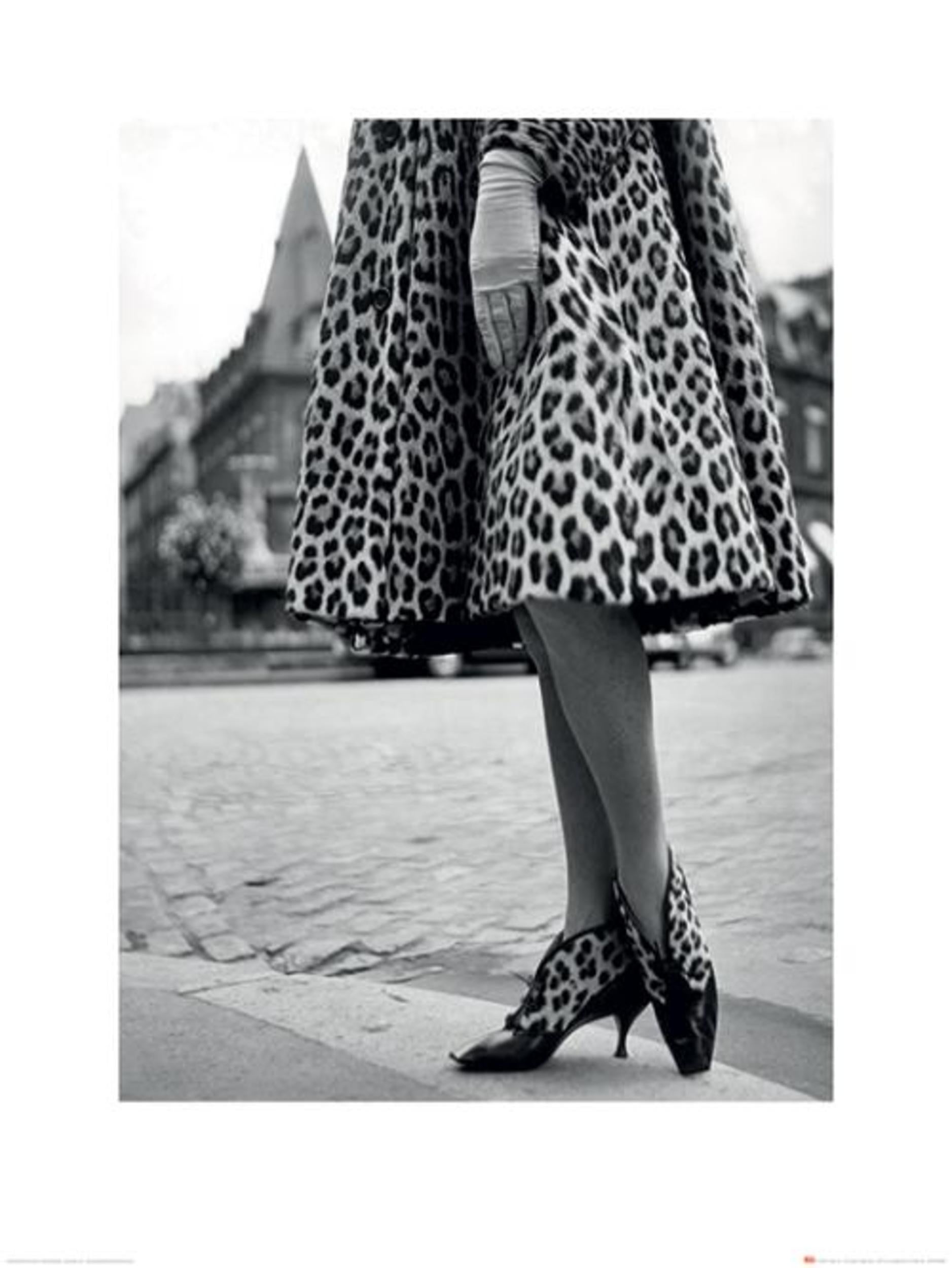 Affiche Art Time Life - Dior Leopard Print 60x80cm | Leroy Merlin