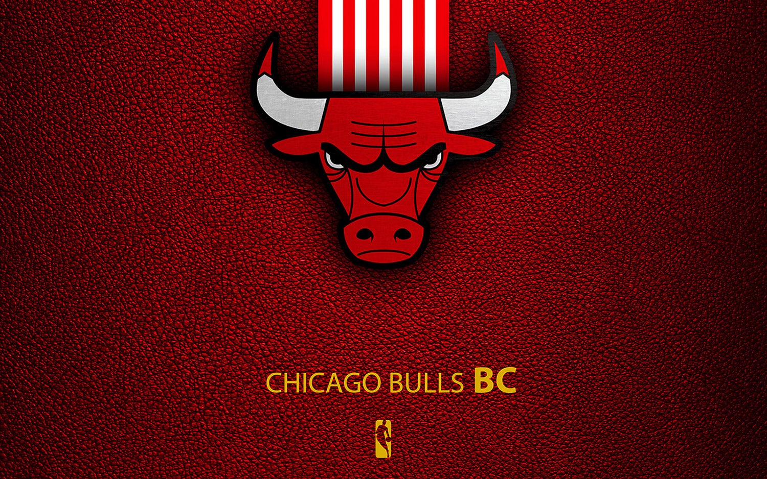 Papier peint panoramique Basket / Basket-ball - Chicago Bulls ...