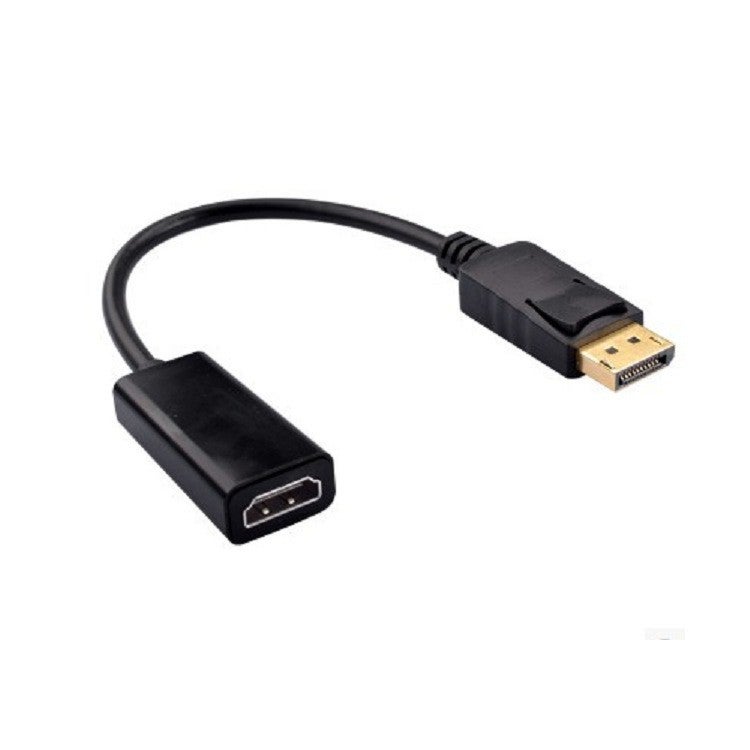 Adaptateur DisplayPort vers HDMI (1 pièce), convertisseur DP ...