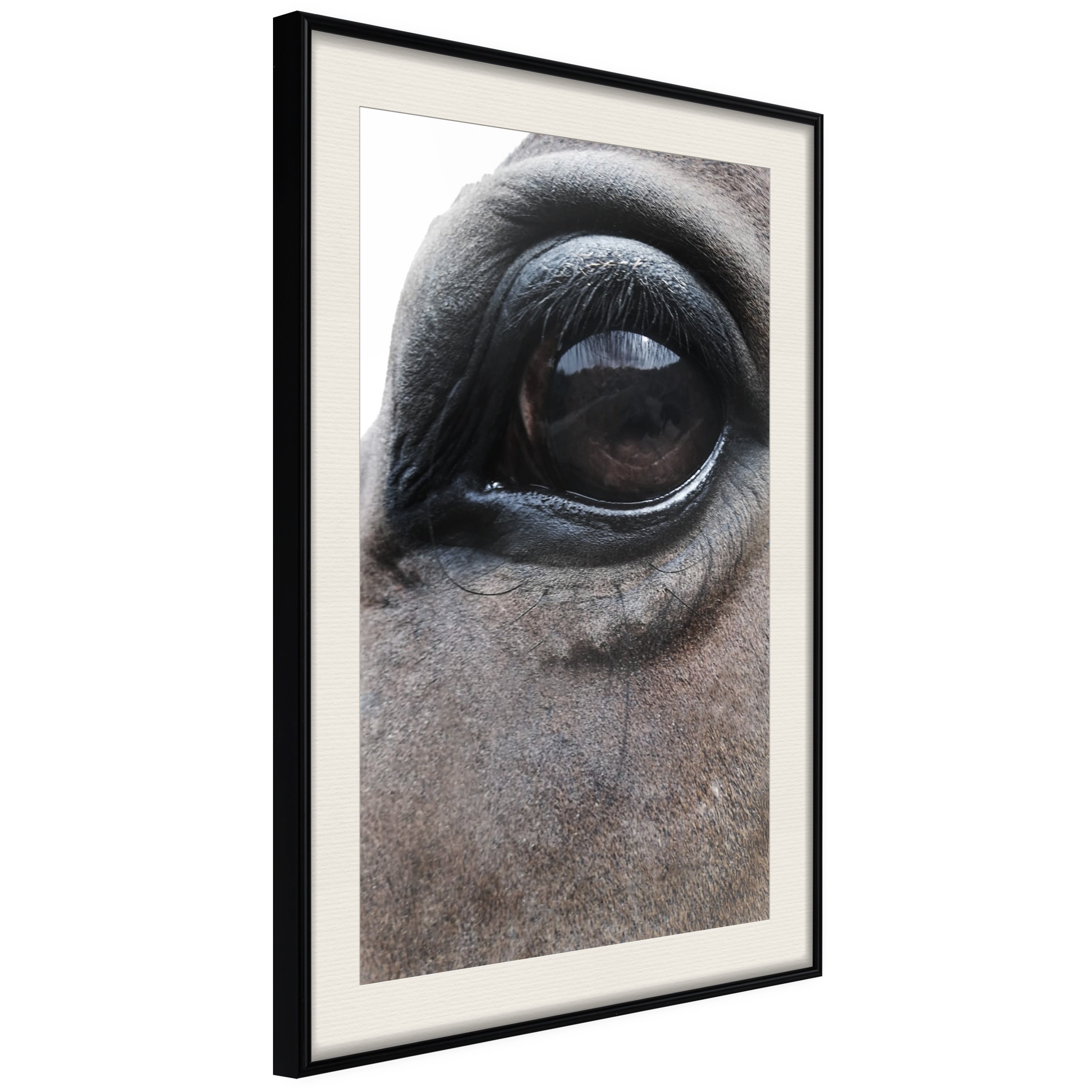 Poster et affiche - Gentle Eyes 40x60 cm | Leroy Merlin