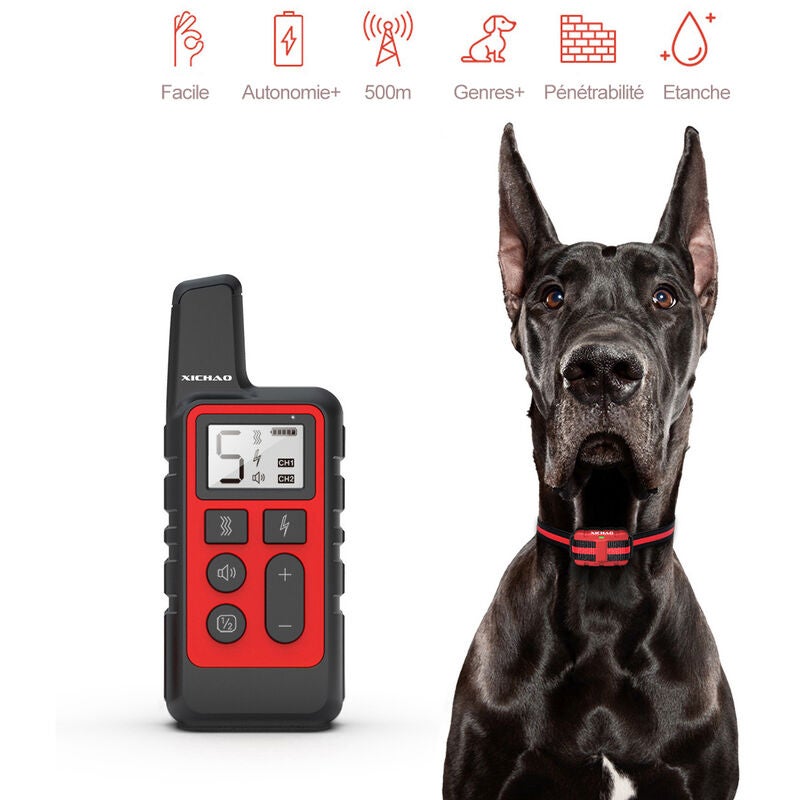 Collier Chien, pour Chien Avec Télécommande de 500 Mètres, Récepteur ...